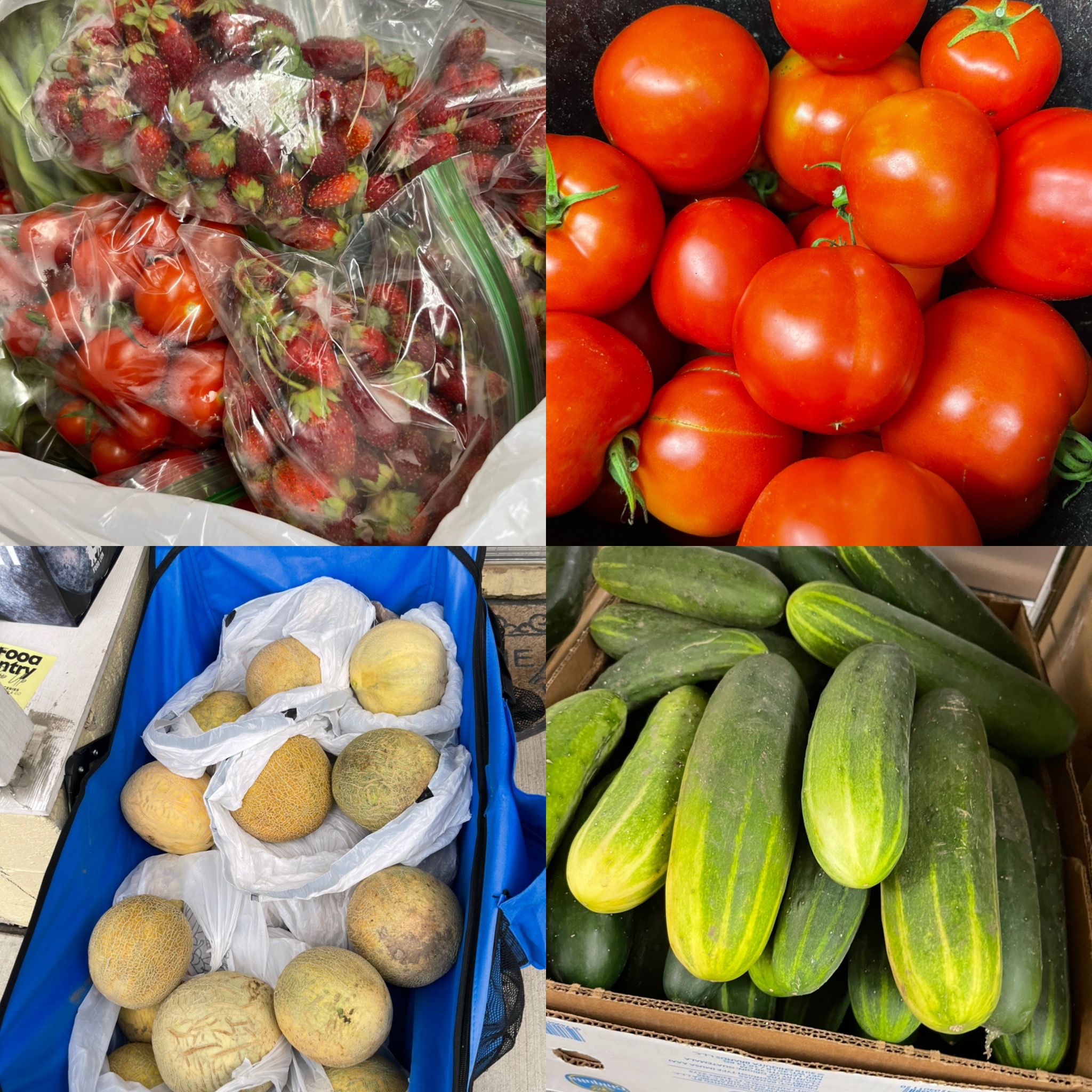 Community Crisis Center, Inc. – Helping People in Need Since 1982
